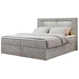 M&ouml;bel Kraft Boxbett mit Bettkasten grau Ma&szlig;e (cm): B: 160 H: 103 &raquo; M&ouml;bel Kraft