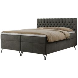 M&ouml;bel Kraft Boxbett mit Bettkasten grau Ma&szlig;e (cm): B: 164 H: 115 &raquo; M&ouml;bel Kraft