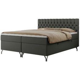 M&ouml;bel Kraft Boxbett mit Bettkasten grau Ma&szlig;e (cm): B: 144 H: 115 &raquo; M&ouml;bel Kraft
