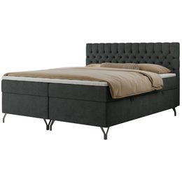 M&ouml;bel Kraft Boxbett mit Bettkasten grau Ma&szlig;e (cm): B: 164 H: 115 &raquo; M&ouml;bel Kraft