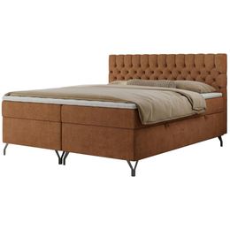 M&ouml;bel Kraft Boxbett mit Bettkasten orange Ma&szlig;e (cm): B: 164 H: 115 &raquo; M&ouml;bel Kraft