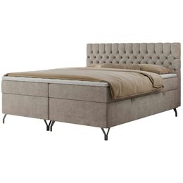 M&ouml;bel Kraft Boxbett mit Bettkasten beige Ma&szlig;e (cm): B: 124 H: 115 &raquo; M&ouml;bel Kraft