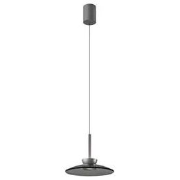 NEUHAUS PURE LED Pendelleuchte "PURE Moon", platinfarben, 1, H: 60cm, 1 Stk., Leuchten, Comfort Lift, dimmf&auml;hig &uuml;ber separaten Tronicdimmer, LED Pendelleuchte