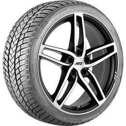 Vredestein Winterreifen ap20560017hwpra00 205/60 R17 93H
