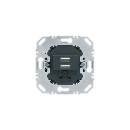 Berker USB Ladesteckdose 230V 2fach 3A anthrazit 260205)