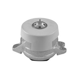 TEDGUM Lagerung, Motor ted40269 vorne links f&uuml;r Mercedes