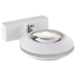 NEUHAUS PURE LED Wandleuchte "PURE Oculis", snow, 2, &Oslash; 15cm H: 7,3cm, 1 Stk., Leuchten, Dimmf&auml;hig &uuml;ber separaten Tronicdimmer, dreh- & schwenkbar, LED Wandleuchte