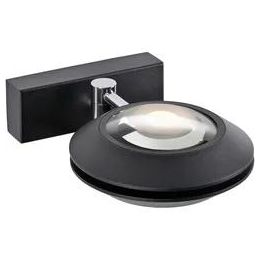 NEUHAUS PURE LED Wandleuchte "PURE Oculis", schwarz pearl, 2, &Oslash; 15cm H: 7,3cm, 1 Stk., Leuchten, Dimmf&auml;hig &uuml;ber separaten Tronicdimmer, dreh- & schwenkbar, LED Wandleuchte