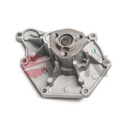 JPN Wasserpumpe 10c9063JPN f&uuml;r Audi