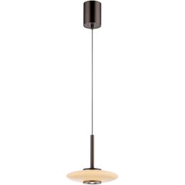 NEUHAUS PURE LED Pendelleuchte "PURE Vitrum", braun (schwarz, metal braun), 1, &Oslash; 22cm H: 80cm, 1 Stk., Leuchten, Comfort Lift, dimmf&auml;hig &uuml;ber separaten Tronicdimmer, LED Pendelleuchte