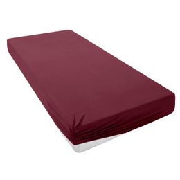 Spannbettlaken OTTO HOME "PHYSALIS in BASIC und PREMIUM Qualit&auml;t, 100% Baumwolle", rot (bordeaux), B:160cm L:200cm, Jersey (110 g/m&sup2;), Obermaterial: 100% Baumwolle, Bettlaken, Spannbettlaken, f&uuml;r Matratzen bis 18 cm H&ouml;he, Bettlaken, Spannbetttuch, pflegeleicht