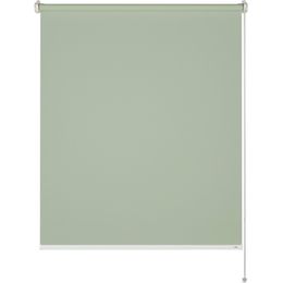 Sch&ouml;ner Wohnen Kollektion Seitenzugrollo "Tageslichtrollo Tizia", gr&uuml;n, B:75cm H:150cm, Polyester, SCH&Ouml;NER WOHNEN-KOLLEKTION, Rollos, Seitenzugrollo, geklebt, geklemmt, silberne oder wei&szlig;e Rollo-Technik
