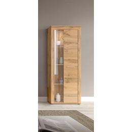 Vitrine Home Affaire "AOSTA, H&ouml;he 159 cm, 1 T&uuml;r (li/re), 2 Glasb&ouml;den, 4 F&auml;cher", braun (wotan eiche nachbildung), B:60cm H:159cm T:35cm, FSC-zertifizierter Holzwerkstoff, Schr&auml;nke, Vitrine, Standvitrine, Glasvitrine, Showcase, Vitrinenschrank, Wohnzimmer