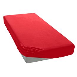 Spannbettlaken OTTO HOME "PHYSALIS in BASIC und PREMIUM Qualit&auml;t, 100% Baumwolle", rot, B:160cm L:200cm, Jersey (110 g/m&sup2;), Obermaterial: 100% Baumwolle, Bettlaken, Spannbettlaken, f&uuml;r Matratzen bis 18 cm H&ouml;he, Bettlaken, Spannbetttuch, pflegeleicht