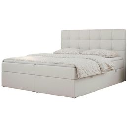 H&ouml;ffner Boxbett mit Bettkasten Erni &brvbar; wei&szlig; &brvbar; Ma&szlig;e (cm): B: 160 H: 110 &raquo; H&ouml;ffner