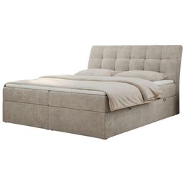 H&ouml;ffner Boxbett mit Bettkasten Diegos &brvbar; beige &brvbar; Ma&szlig;e (cm): B: 200 H: 118 &raquo; H&ouml;ffner