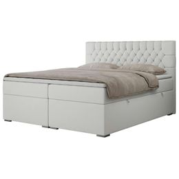 H&ouml;ffner Boxbett mit Bettkasten Pera &brvbar; wei&szlig; &brvbar; Ma&szlig;e (cm): B: 140 H: 125 &raquo; H&ouml;ffner