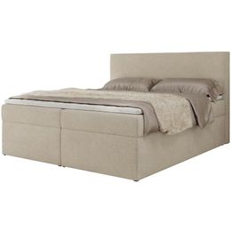 H&ouml;ffner Boxbett mit Bettkasten Jaguar &brvbar; beige &brvbar; Ma&szlig;e (cm): B: 204 H: 119 &raquo; H&ouml;ffner