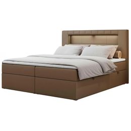 H&ouml;ffner Boxbett mit Bettkasten Gold 5 &brvbar; braun &brvbar; Ma&szlig;e (cm): B: 160 H: 103 &raquo; H&ouml;ffner