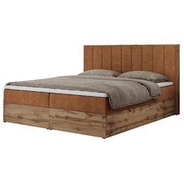 H&ouml;ffner Boxbett mit Bettkasten Bellissimo &brvbar; orange &brvbar; Ma&szlig;e (cm): B: 188 H: 115 &raquo; H&ouml;ffner