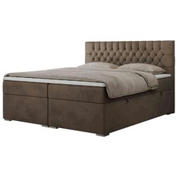 H&ouml;ffner Boxbett mit Bettkasten Pera &brvbar; braun &brvbar; Ma&szlig;e (cm): B: 140 H: 125 &raquo; H&ouml;ffner