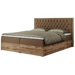 H&ouml;ffner Boxbett mit Bettkasten Amore &brvbar; braun &brvbar; Ma&szlig;e (cm): B: 148 H: 115 &raquo; H&ouml;ffner
