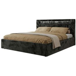 H&ouml;ffner Polsterbett mit Bettkasten Gold 5 Classic grau Ma&szlig;e (cm): B: 168 H: 103 &raquo; H&ouml;ffner