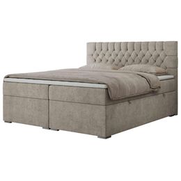 H&ouml;ffner Boxbett mit Bettkasten Pera &brvbar; beige &brvbar; Ma&szlig;e (cm): B: 120 H: 125 &raquo; H&ouml;ffner