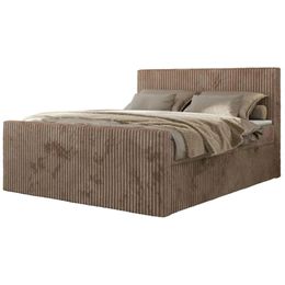 H&ouml;ffner Boxbett mit Bettkasten Tiliano Duo &brvbar; braun &brvbar; Ma&szlig;e (cm): B: 144 H: 119 &raquo; H&ouml;ffner