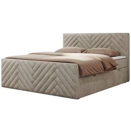 H&ouml;ffner Boxbett mit Bettkasten Paris Duo &brvbar; beige &brvbar; Ma&szlig;e (cm): B: 181 H: 110 &raquo; H&ouml;ffner