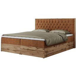 H&ouml;ffner Boxbett mit Bettkasten Amore &brvbar; orange &brvbar; Ma&szlig;e (cm): B: 208 H: 115 &raquo; H&ouml;ffner