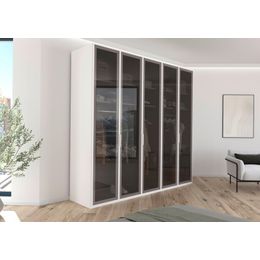 Kleiderschrank Rauch "Schrank Garderobe SKAT SHINE Breiten 151/201/251/301cm, H&ouml;he 223/235cm", alpinwei&szlig;, B:251cm H:235cm T:61cm, Glas, Holzwerkstoff, Schr&auml;nke, Kleiderschrank, edle Schrankfront mit hochwertigen Glasrahment&uuml;ren MADE IN GERMANY