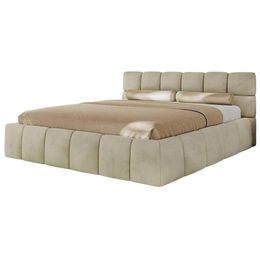 H&ouml;ffner Polsterbett mit Bettkasten Nira Classic &brvbar; beige &brvbar; Ma&szlig;e (cm): B: 206 H: 92 &raquo; H&ouml;ffner