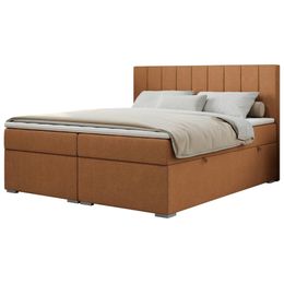 H&ouml;ffner Boxbett mit Bettkasten Ally &brvbar; orange &brvbar; Ma&szlig;e (cm): B: 160 H: 118 &raquo; H&ouml;ffner