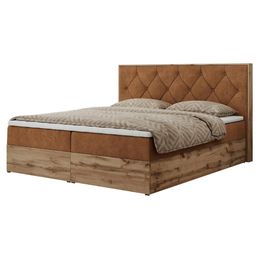 H&ouml;ffner Boxbett mit Bettkasten Veneto &brvbar; orange &brvbar; Ma&szlig;e (cm): B: 208 H: 115 &raquo; H&ouml;ffner