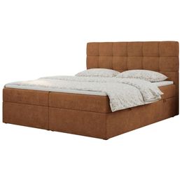 H&ouml;ffner Boxbett mit Bettkasten Erni &brvbar; orange &brvbar; Ma&szlig;e (cm): B: 120 H: 110 &raquo; H&ouml;ffner