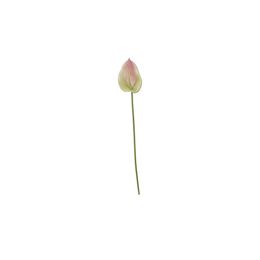 H&ouml;ffner Kunstblume Anthurium rosa/pink Kunststoff Ma&szlig;e (cm): H: 78 &raquo; H&ouml;ffner