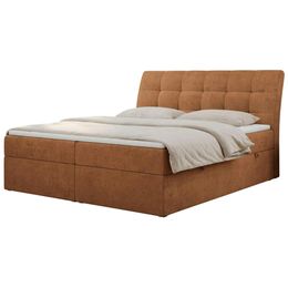 H&ouml;ffner Boxbett mit Bettkasten Diegos &brvbar; orange &brvbar; Ma&szlig;e (cm): B: 200 H: 118 &raquo; H&ouml;ffner
