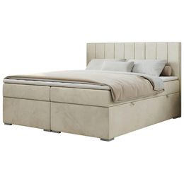 H&ouml;ffner Boxbett mit Bettkasten Ally &brvbar; beige &brvbar; Ma&szlig;e (cm): B: 160 H: 118 &raquo; H&ouml;ffner