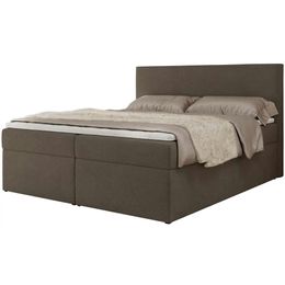 H&ouml;ffner Boxbett mit Bettkasten Jaguar braun Ma&szlig;e (cm): B: 144 H: 119 &raquo; H&ouml;ffner