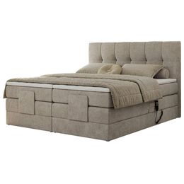 H&ouml;ffner Motor Boxspringbett mit Bettkasten Vittoria &brvbar; beige &brvbar; Ma&szlig;e (cm): B: 208 H: 124 &raquo; H&ouml;ffner