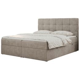 H&ouml;ffner Boxbett mit Bettkasten Erni &brvbar; beige &brvbar; Ma&szlig;e (cm): B: 160 H: 110 &raquo; H&ouml;ffner