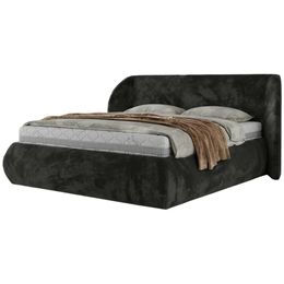 H&ouml;ffner Polsterbett mit Bettkasten Caela Classic grau Ma&szlig;e (cm): B: 205 H: 110 &raquo; H&ouml;ffner