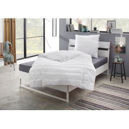 f.a.n. Microfaserbettdecke FAN "Komfort Plus, Bettdecke in 135x200 cm und weitere Gr&ouml;&szlig;en erh&auml;ltlich", wei&szlig;, B:155cm L:220cm, Bezug: 100% Polyester. F&uuml;llung: 100% Lyocell (TENCEL&trade;), Bettdecken, Microfaserbettdecke, Made in Germany Zu jeder Jahreszeit ideal f&uuml;r Schwitzer