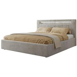 H&ouml;ffner Polsterbett mit Bettkasten Gold 5 Classic grau Ma&szlig;e (cm): B: 208 H: 103 &raquo; H&ouml;ffner