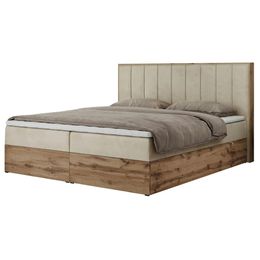H&ouml;ffner Boxbett mit Bettkasten Bellissimo &brvbar; beige &brvbar; Ma&szlig;e (cm): B: 208 H: 115 &raquo; H&ouml;ffner