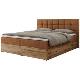 H&ouml;ffner Boxbett mit Bettkasten Albero 1 &brvbar; orange &brvbar; Ma&szlig;e (cm): B: 188 H: 104 &raquo; H&ouml;ffner