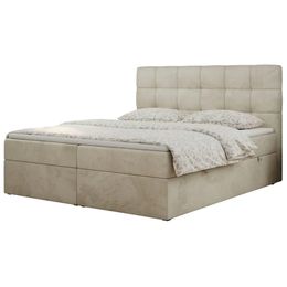H&ouml;ffner Boxbett mit Bettkasten Erni &brvbar; beige &brvbar; Ma&szlig;e (cm): B: 200 H: 110 &raquo; H&ouml;ffner