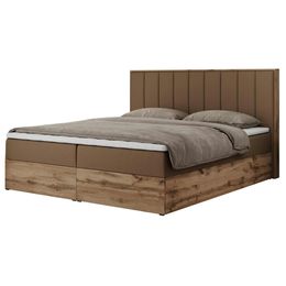 H&ouml;ffner Boxbett mit Bettkasten Bellissimo &brvbar; braun &brvbar; Ma&szlig;e (cm): B: 208 H: 115 &raquo; H&ouml;ffner