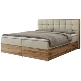 H&ouml;ffner Boxbett mit Bettkasten Albero 1 &brvbar; beige &brvbar; Ma&szlig;e (cm): B: 188 H: 104 &raquo; H&ouml;ffner